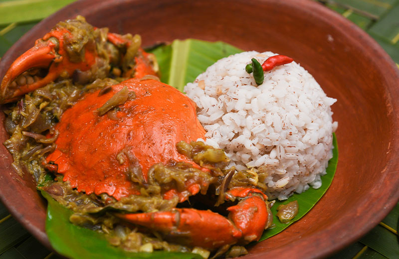 Jaffna - Tales of Ceylon